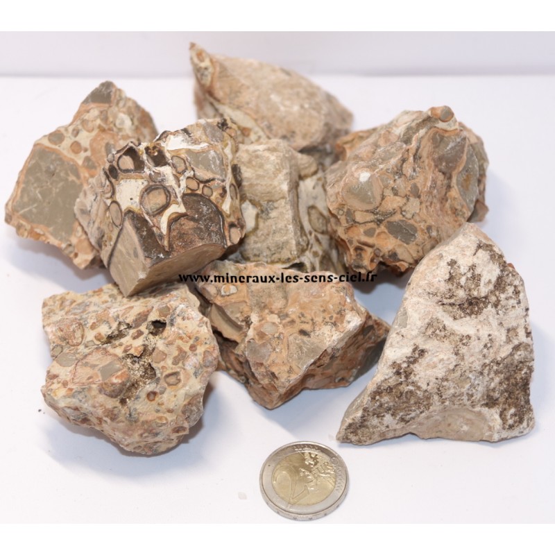 Jaspe Leopardite/Leopard brute du Pérou