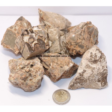 Jaspe Leopardite/Leopard brute du Pérou